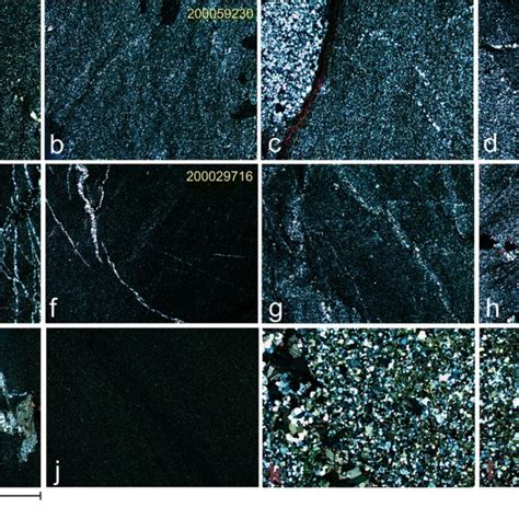 Thin Section Analyses Examples Crossed Polarizers Sample Numbers