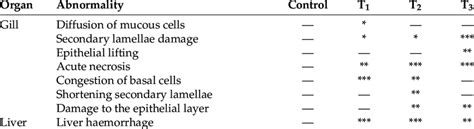 Comparative Investigation Of Histopathological Alterations From The