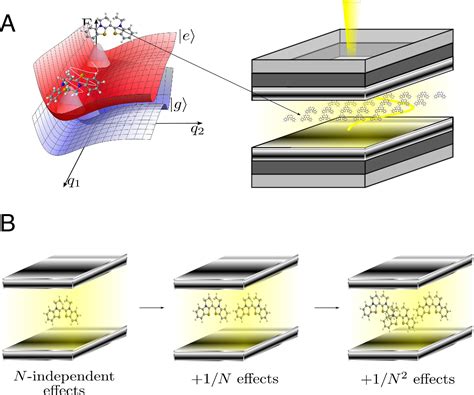 Simulating Molecular Polaritons In The Collective Regime Using Few Molecule Models Pnas