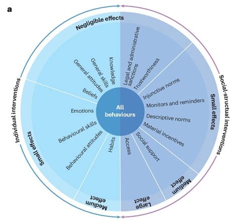 Julie Dirksen On Linkedin Very Interesting Examination Of Different