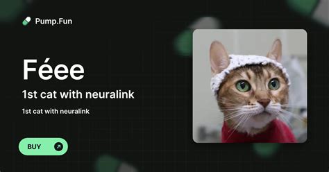 1st Cat With Neuralink Féee Pump
