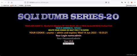 sqli labs靶场通关 11 20 sqli靶场通关payload csdn博客