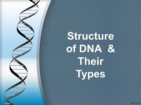 Structure Of DNA Their Types Pptx