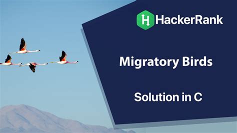 migratory birds hacker rank youtube