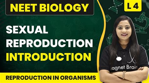 Sexual Reproduction Introduction Reproduction In Organisms L NEET Biology Class