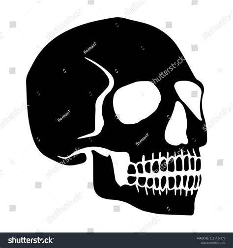 Human Skull Silhouette Over Royalty Free Licensable Stock Vectors Vector Art
