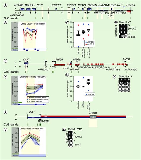 Identification Of Novel Differentially Methylated Regions Within Known Download Scientific
