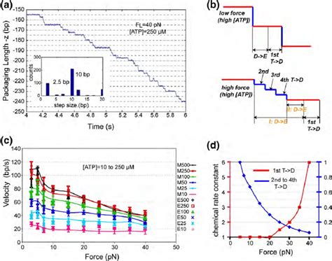 Stochastic Simulation Results Under High Load Forces A A Sample