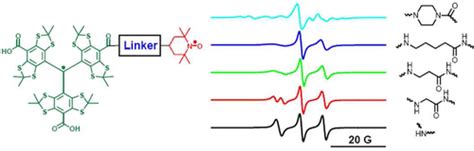 控制自旋 自旋交换偶联的结构因素：高度不对称三苯甲基 氮氧化物双自由基的 Epr 光谱研究 Journal Of The American Chemical Society X Mol