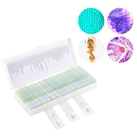 10 Best Microscope Slide Kits For Beginners A Comprehensive Guide To Getting Started Sentinel