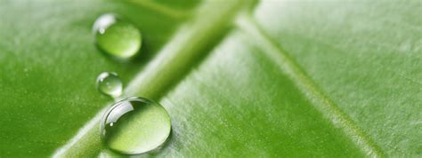 Nomura Asset Management U K Ltd Nomura Asset Management Group