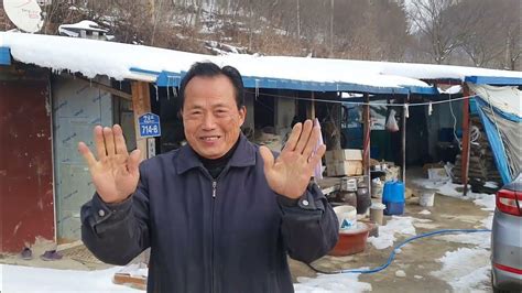 기러기 분양 판매~ Youtube