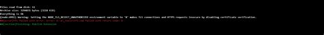 setting the node tls reject unauthorized environment variable to 0