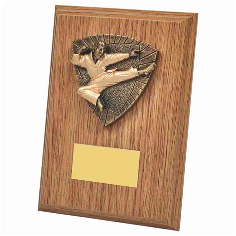 Dynamo Karate Martial Arts Trophy Award Beech Coloured Wooden Plaque 3 Sizes Twt Trophy