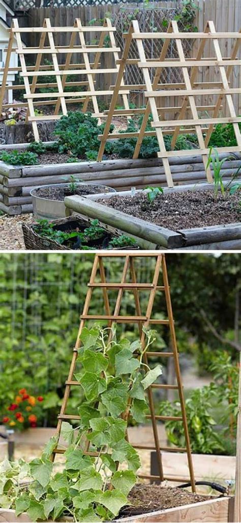 Beautiful Diy Trellis For Small Garden Homemydesign My XXX Hot Girl