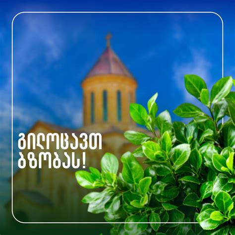 ირაკლი ჩიქოვანი Irakli Chikovani