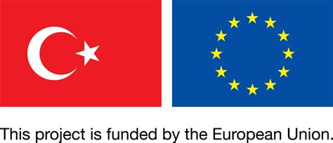 Eu Fundamental Rights Handbook Temel Haklar