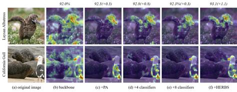 The Structure Of Models A Original Backbone The Blue Box Represent Download Scientific