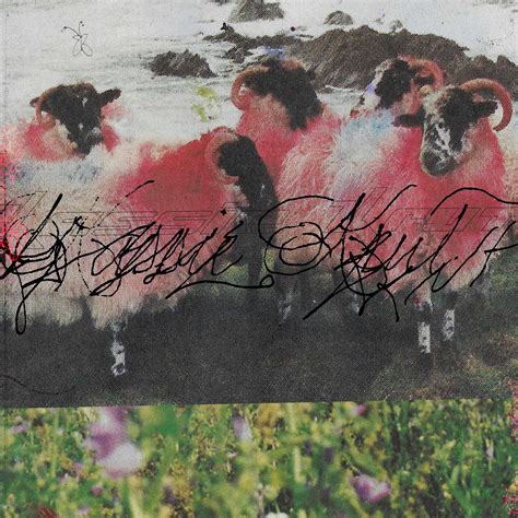 Kassie Krut — Fire Talk