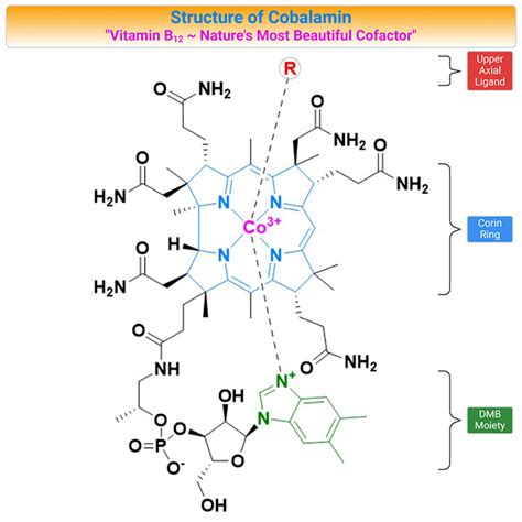 Cobalamin Structure