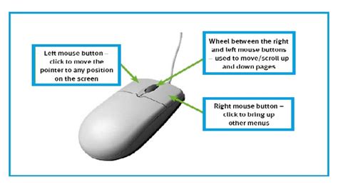 Computer Mouse Parts Info