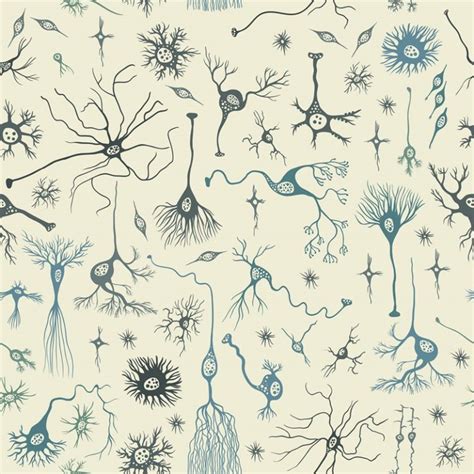 Your Big Brain Makes You Human Count Your Neurons When You Count Your Blessings Neuroscience