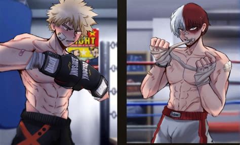 Bakugo And Todoroki Are Fighting Over Yn Superhero Boku No Hero