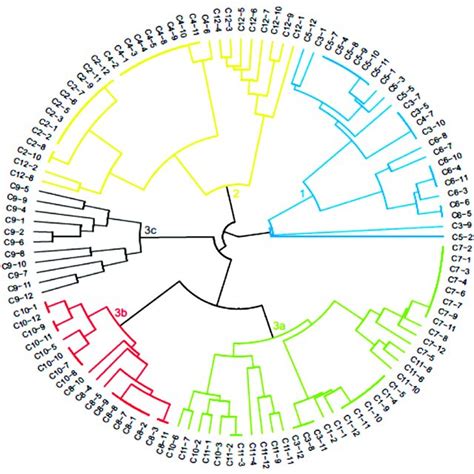 dendrogram generated by the upgma method based on the dissimilarity