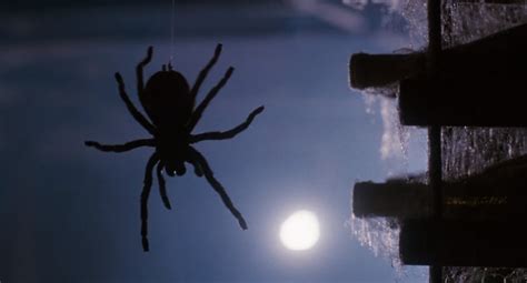 7 Things We Need In The New ‘arachnophobia Remake Collective World