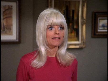 Carol Wayne Photos Carol Wayne Picture Gallery Famousfix