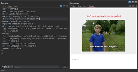 Mastering Picoctf Web Exploits Walkthrough And Blackhat Ctf Prep The