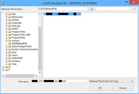 brimor labs how to load a sql bak file for analysis without sql