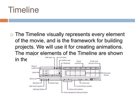 An Introduction To Adobe Flash Cs PPTX