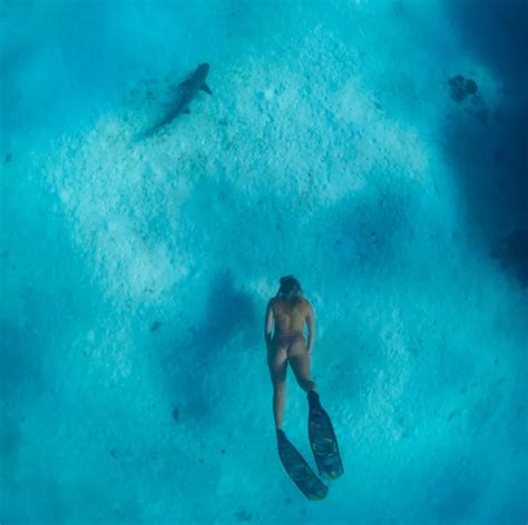 The Lifecycle Of Whale Sharks Insights From Ningaloo Reef