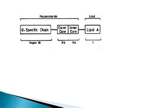 Pyrogen 112070804004 Pptx
