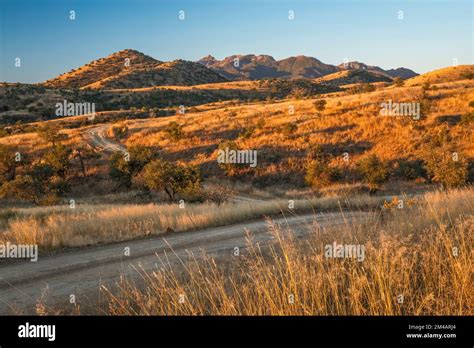 Santa Rita Mountains Sunrise Over Ophir Gulch View From Fs 163 Road