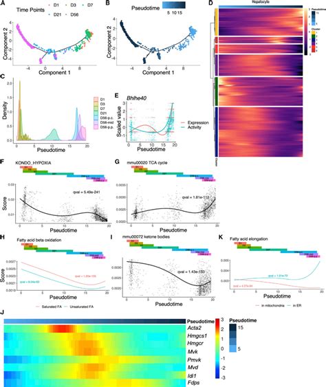Dev Cell 单细胞转录组学对出生后肝脏发育和成熟的时序性分析 知乎