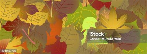 Horizontal Fall Leaves Background Stock Illustration Download Image
