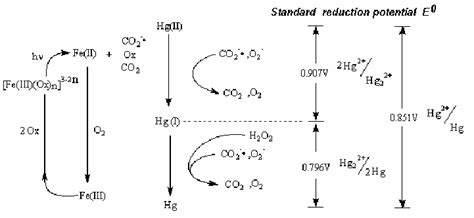 The photolytic mechanism of ferric-oxalate complexes. | Download Scientific Diagram