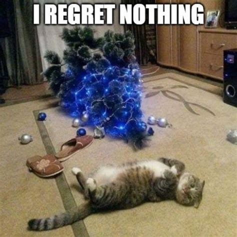 31 Most Hilarious Cat Christmas Tree Memes 2025 Of All Time