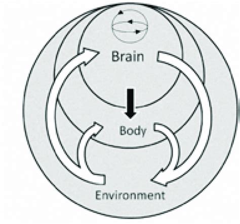 Embodied Cognition Brain Body And Environment As Embedded Dynamic