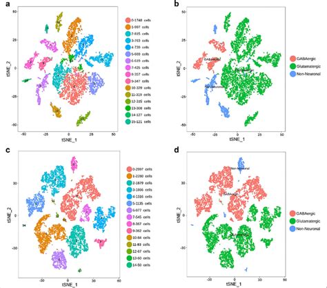 Cell Type Taxonomy In Human And Mouse V1 Cortex A B T Distributed Download Scientific Diagram