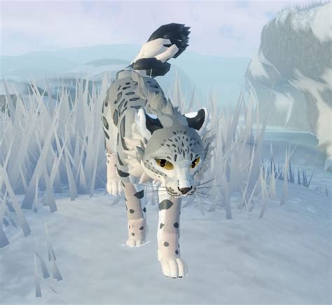 Snow Leopard Wcue Morph в 2025 г Кот воитель Животные Смешные