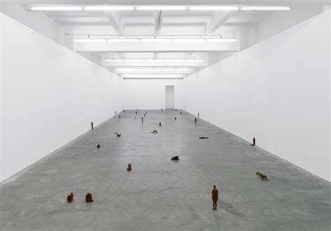Review ‘antony Gormley Memes At Anna Schwartz Gallery Melbourne