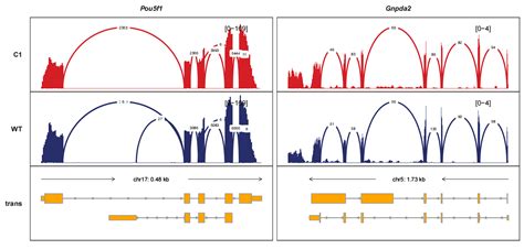 Chapter 8 Splice Junction Visualization Biosequtils Reference
