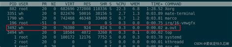 Linux定时函数timerfd的使用问题以及解决办法 Csdn博客
