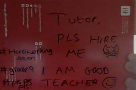 Tutor You To Help You Get A 9 In Math Igcses By Pillowsofficial Fiverr