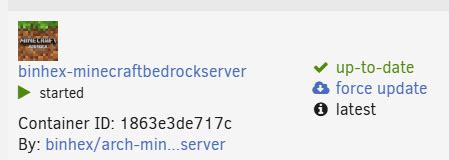 Support Binhex MinecraftBedrockServer Page 25 Docker Containers Unraid