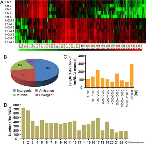 overview of lncrnas microarray analysis a the hierarchical clustering