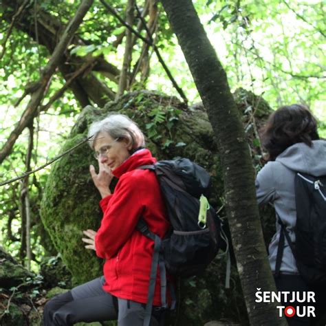 Megaliths On Žusem Hill Turistični Portal Občine Šentjur